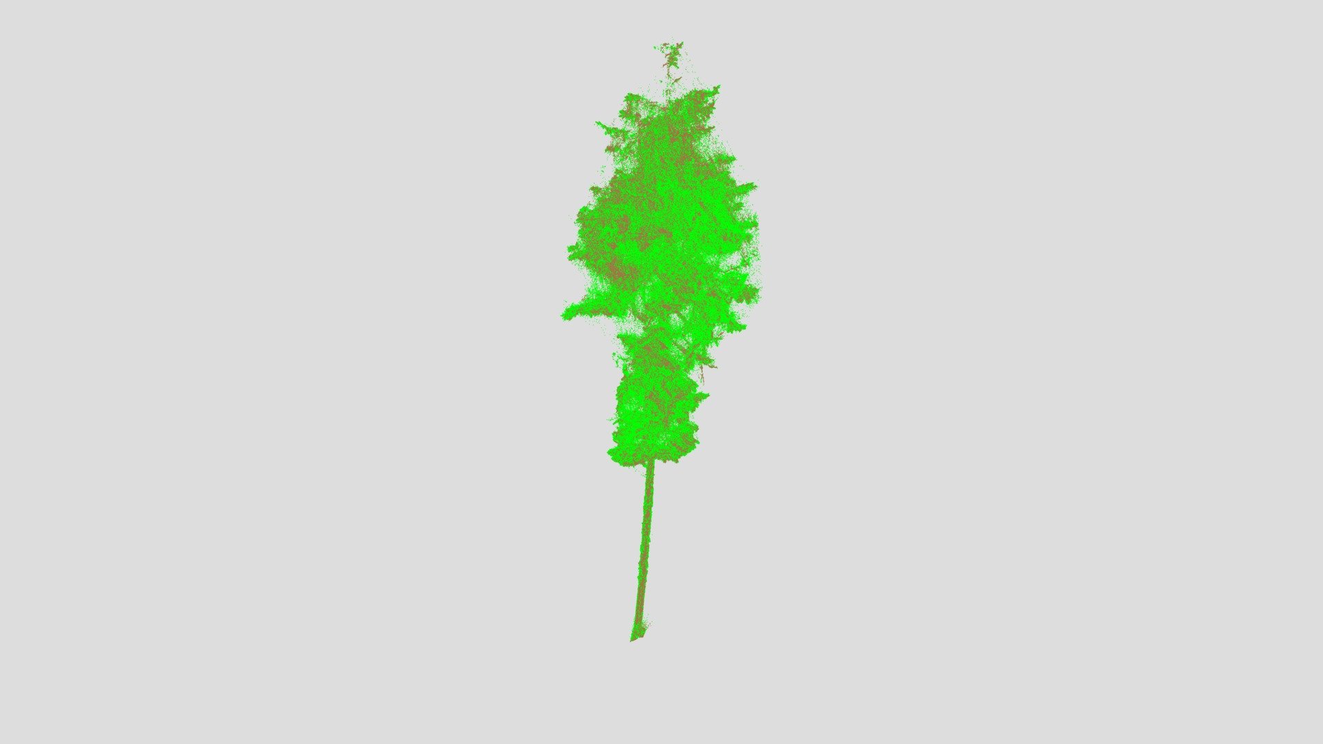 Balsam Fir - Tree 3 - Plot 1 - 3D model by DigitalForestLab [e065084 ...