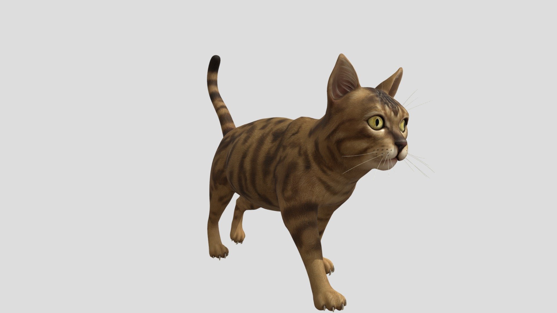 Cat - Download Free 3D model by all of life (@Xfdfgd) [e075373] - Sketchfab