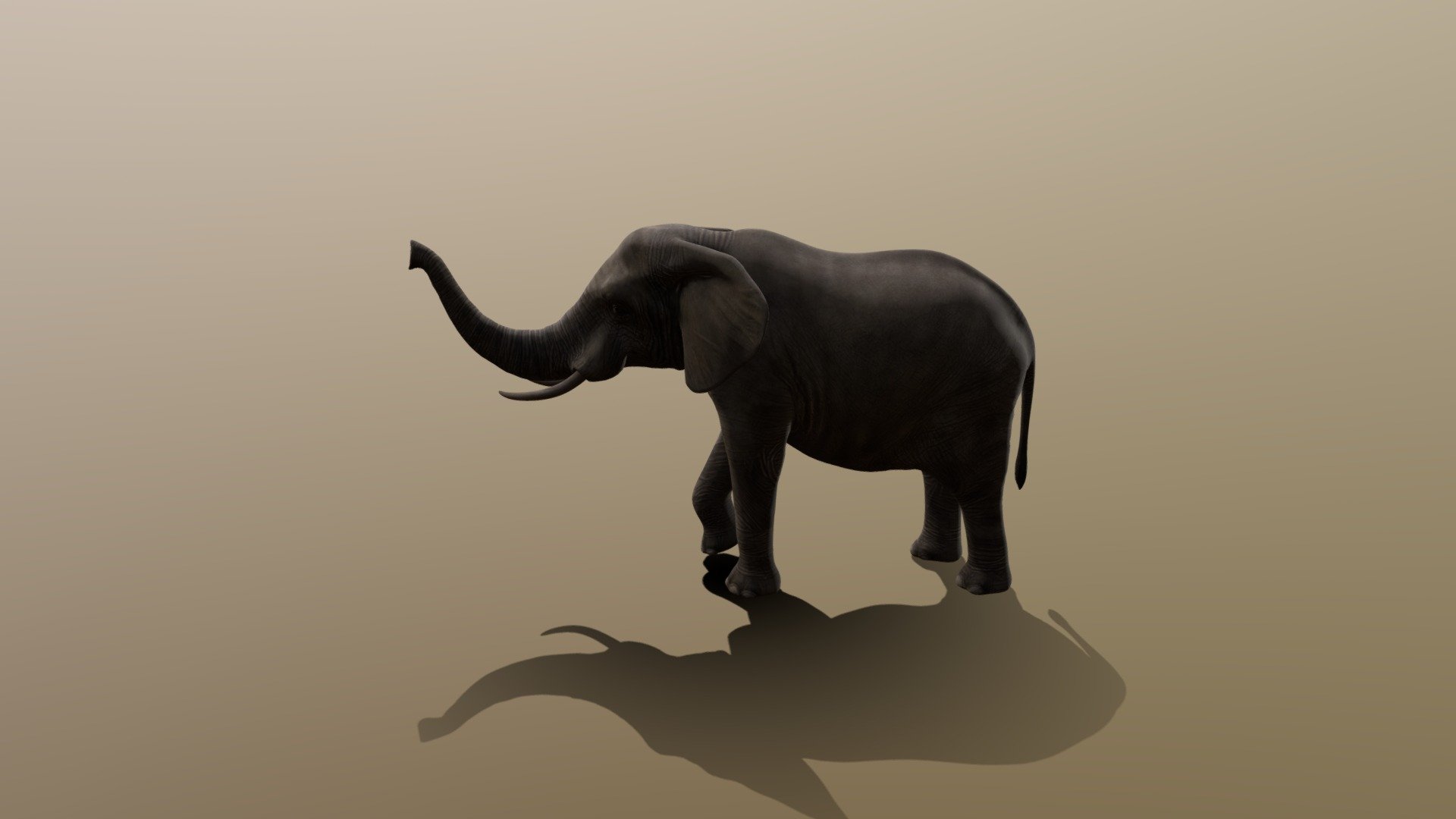 Elephant - Download Free 3D model by SDPM Esare (@sdpm) [e0755e3 ...