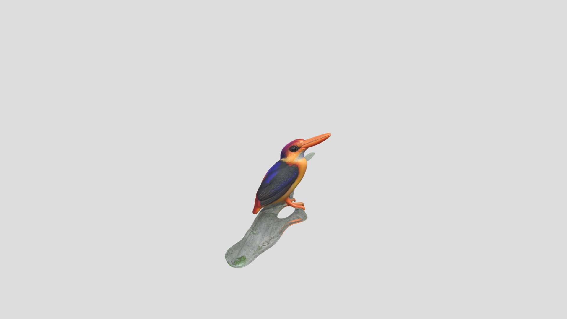 pajaro - Download Free 3D model by alexanderperezamaya9 [e078bd4 ...
