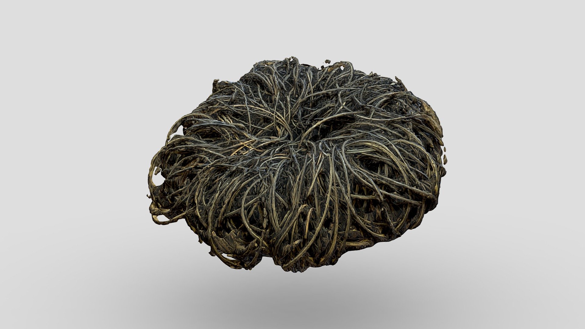 Devil's Claw Bundle Photogrammetry - Download Free 3D model by ...