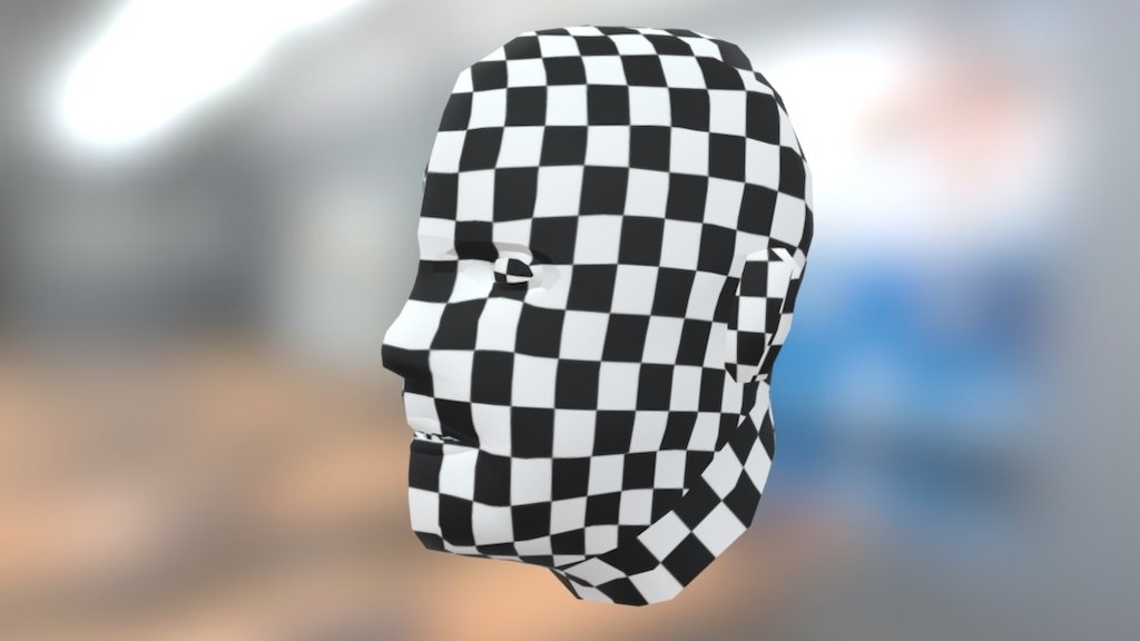 Human head (checkerboard textured) - 3D model by Eli De Carteret ...