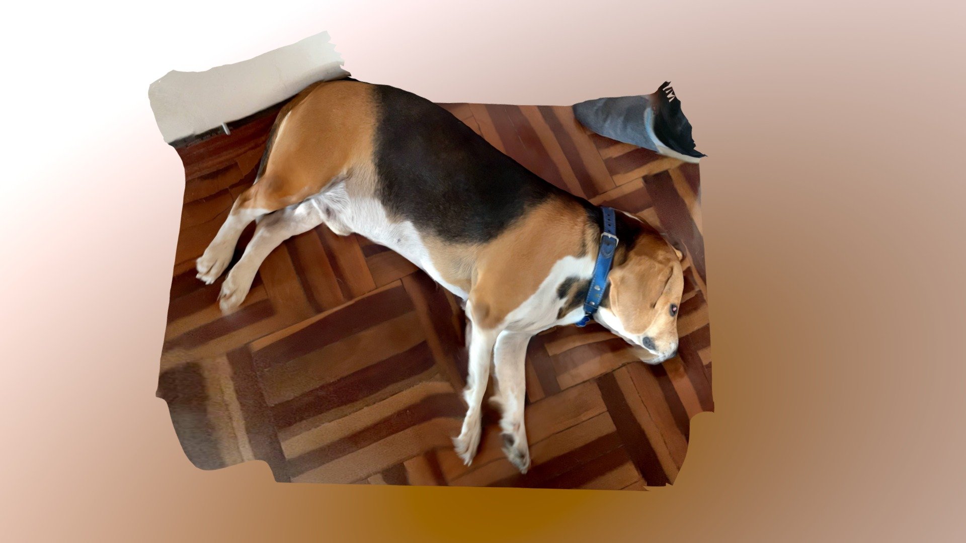 Sleepy Dog - LiDAR - Download Free 3D model by Emiliusvgs [e08d46a ...