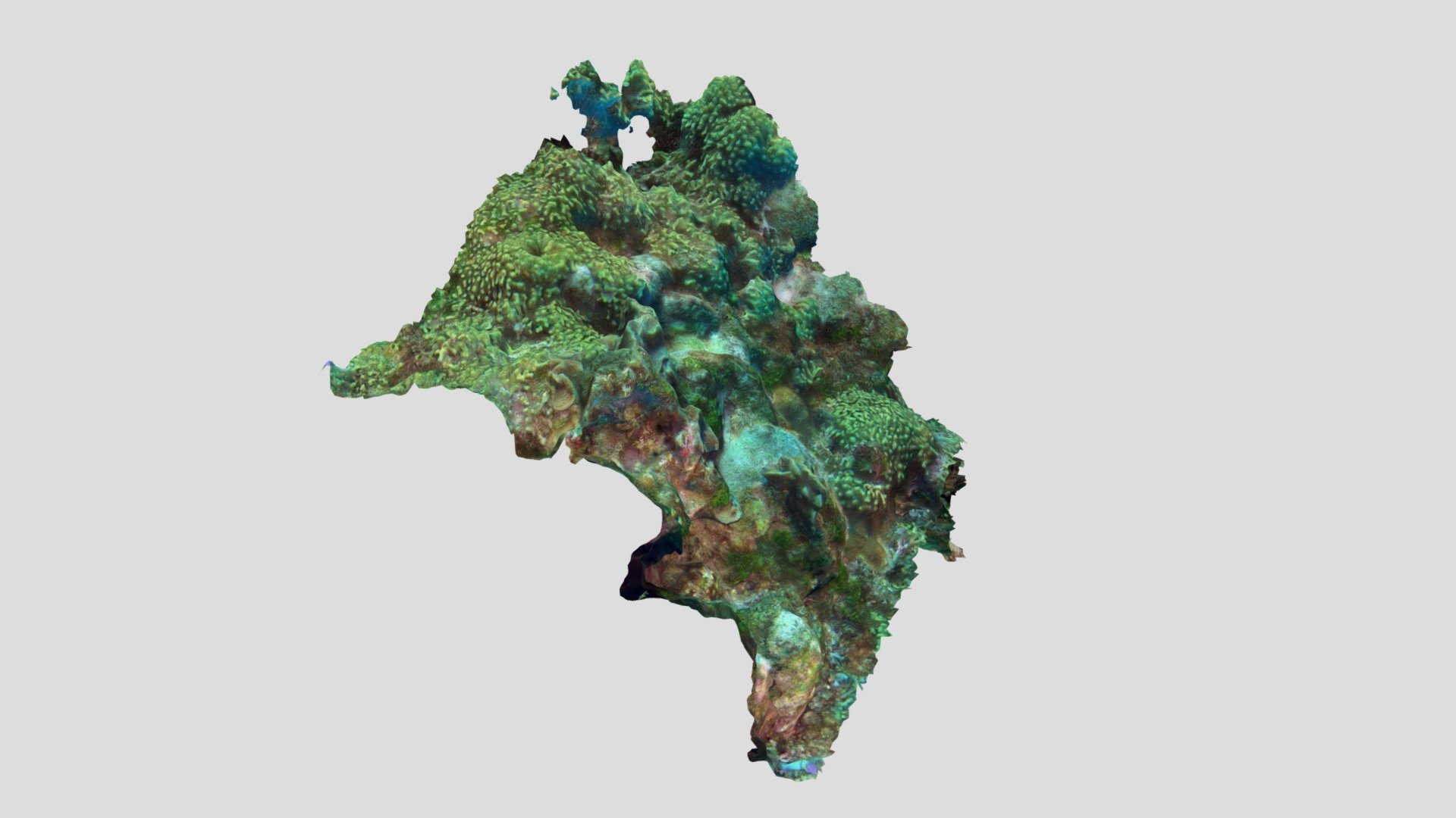 Snake Bay_4 - 3D model by coralreefs.kornder [e08fc3d] - Sketchfab