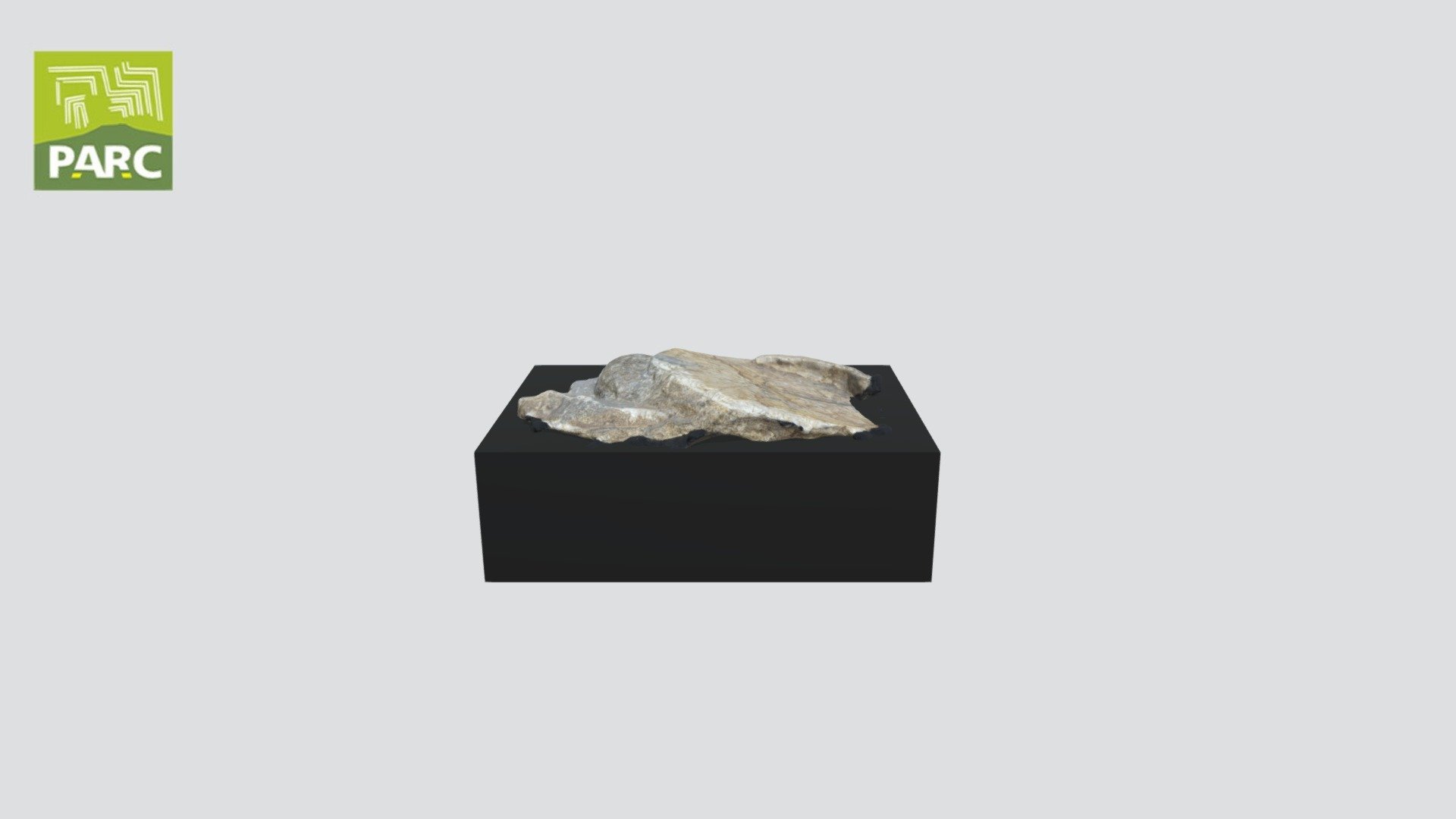Scutella fossile - 3D model by PARC Museum (@parcgenoni) [e094f3a ...