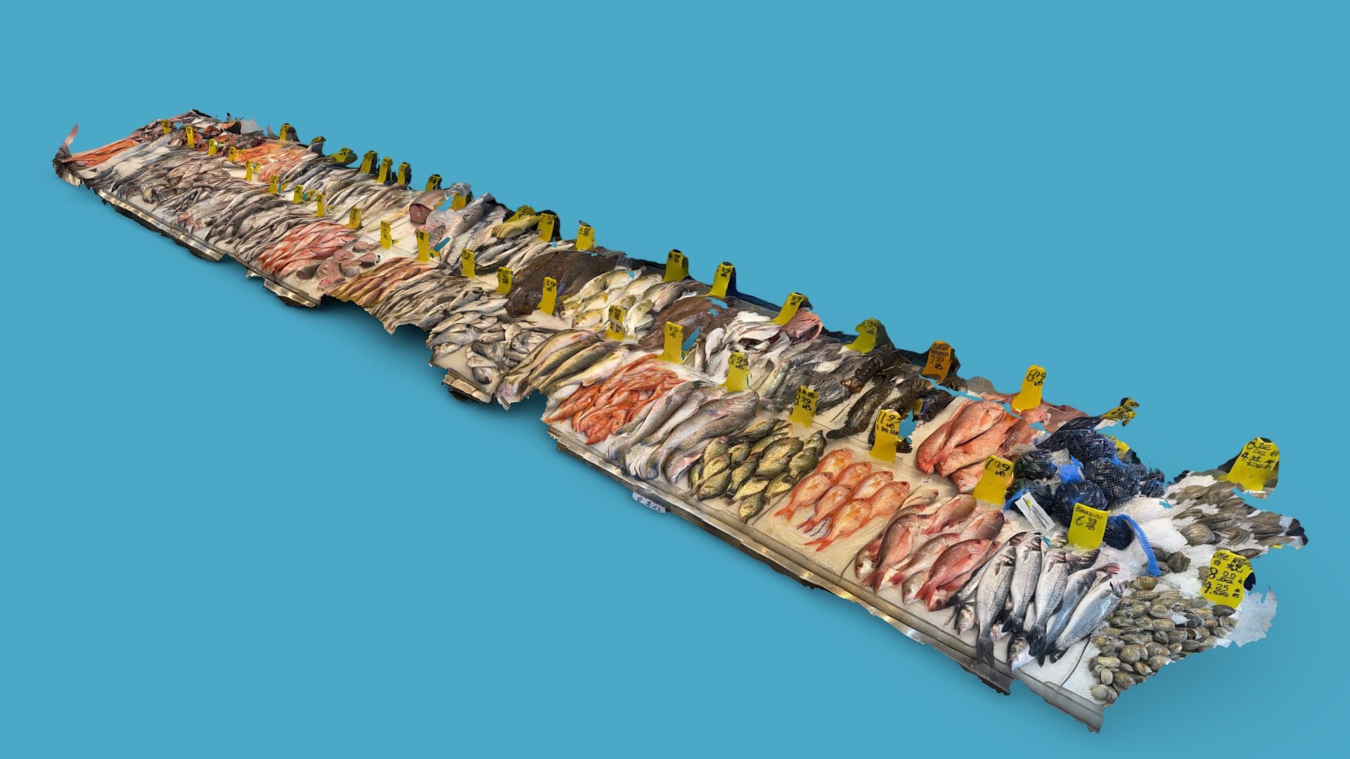 Day 30: Fish Counter - 3D model by Stuart Rosenberg (@s2rosenberg ...
