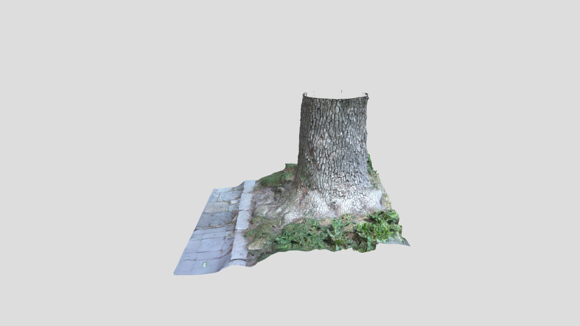 Oak tree base - Download Free 3D model by Andriy Korotkyy ...