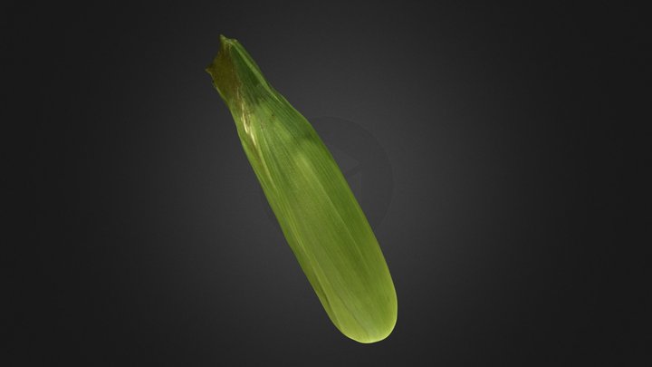 Husk 3D models - Sketchfab