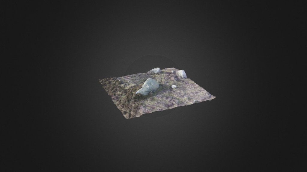 Whaleback Rock - Rock Art - 3D model by Rockrich [e0aacf2] - Sketchfab