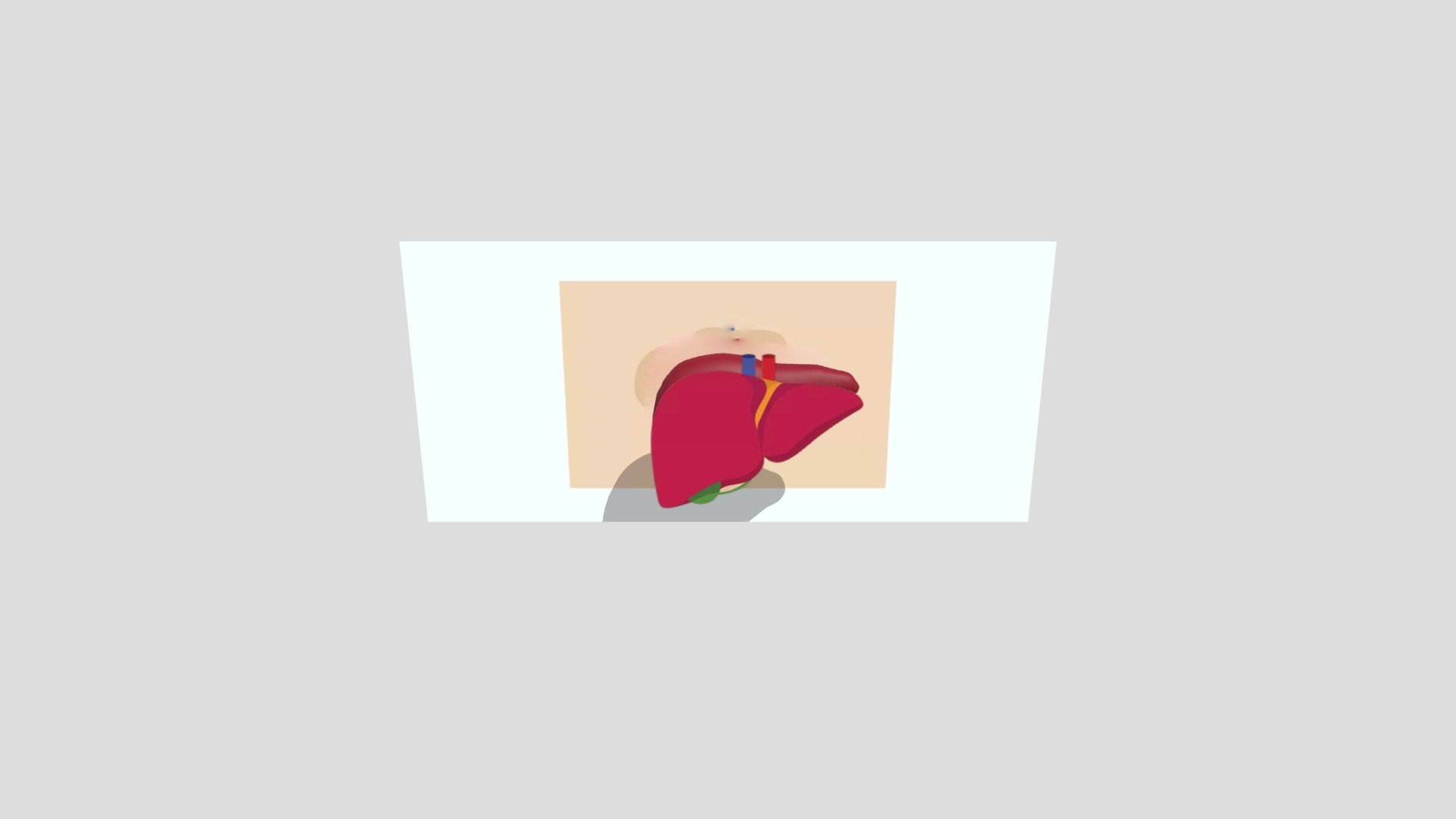 Project Liver Isya - 3D model by isyakuncoro370 [e0ac2d7] - Sketchfab