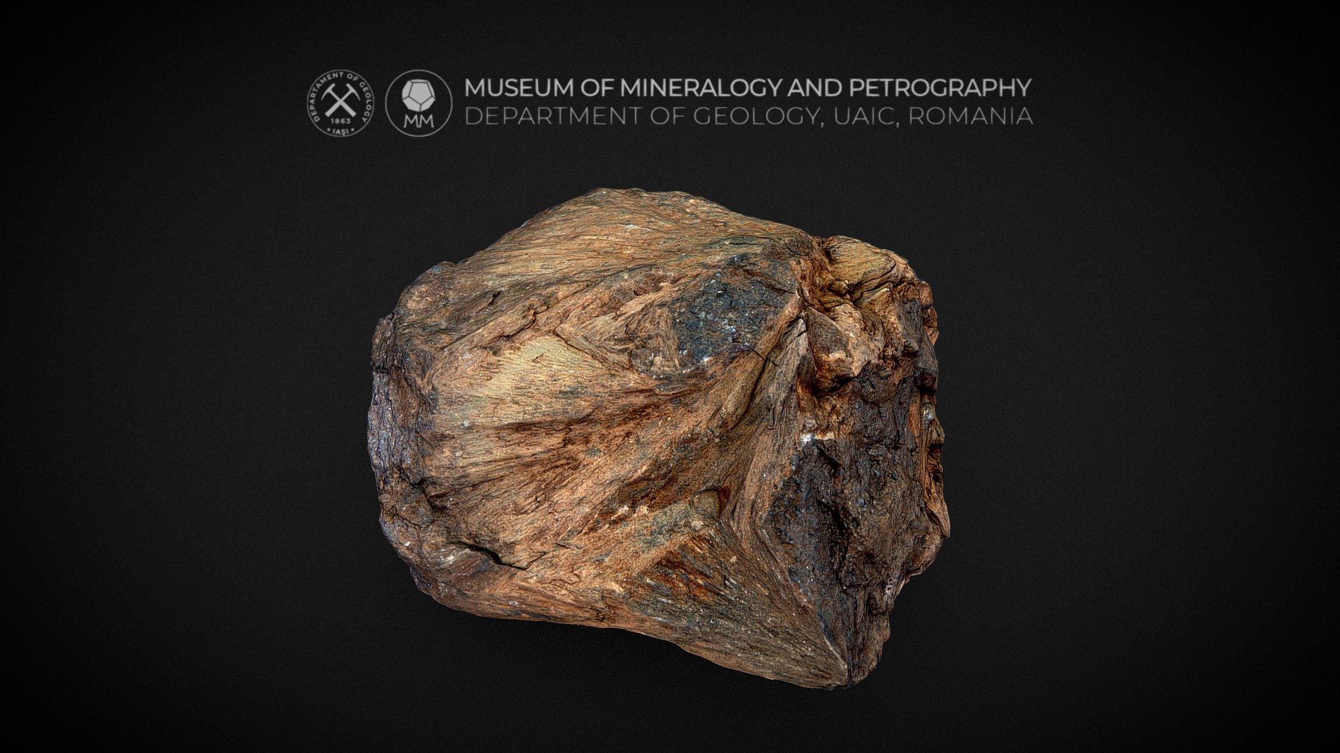 Altered prismatic crystals of Ludwigite - 3D model by Museum of ...