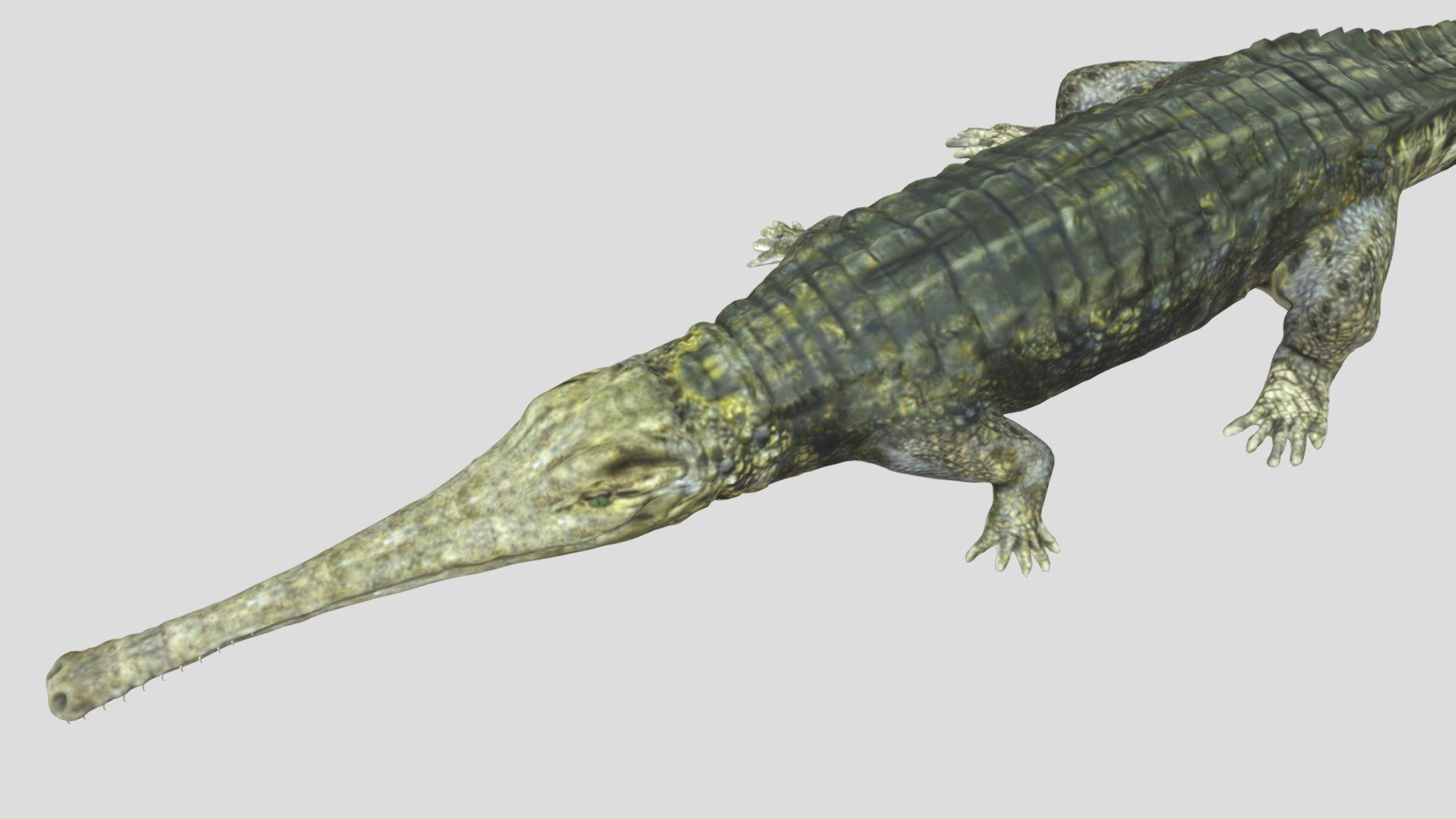 teleosaurus - Download Free 3D model by seth the yutyrannus ...