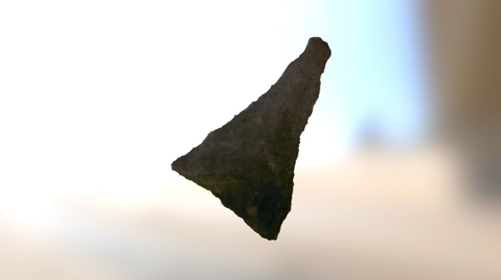 Pee Dee Triangle (VCU_3D_1399) - Download Free 3D model by Virtual ...