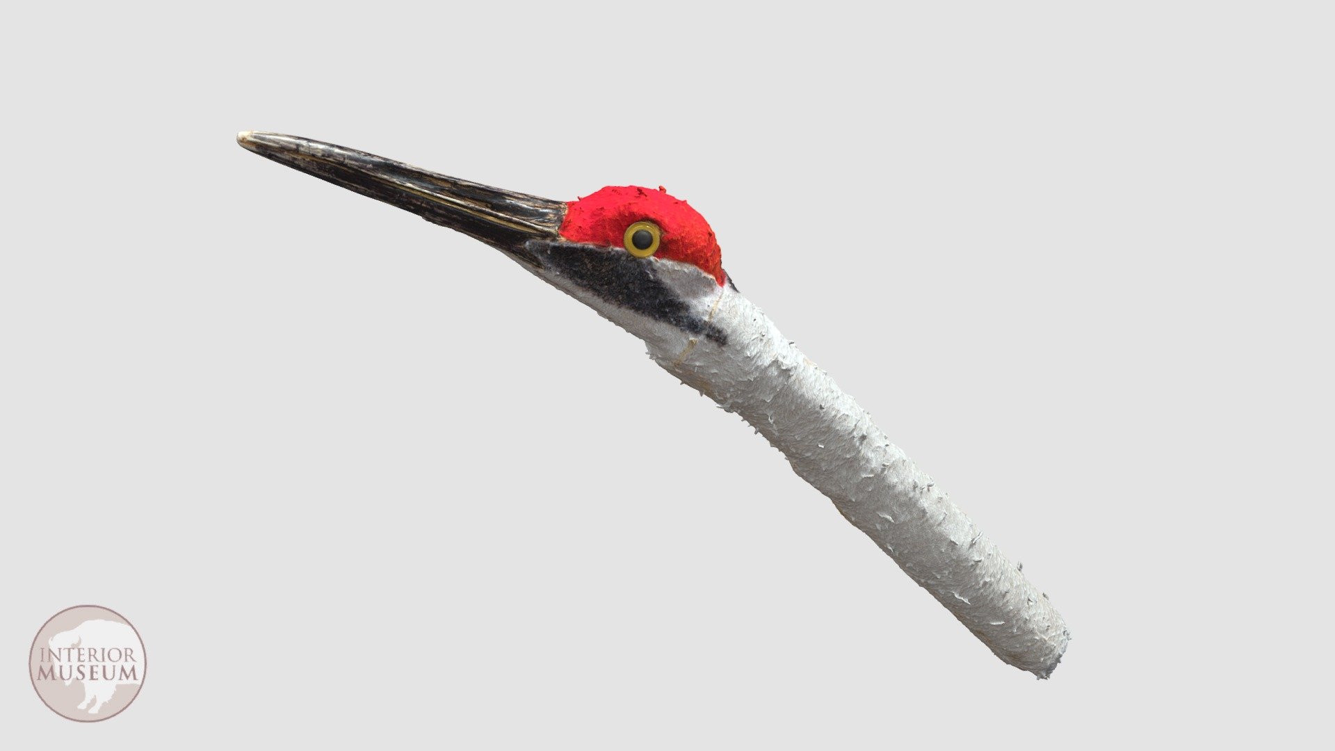 Whooping Crane Feeding Puppet - 3D model by U.S. Department of the ...