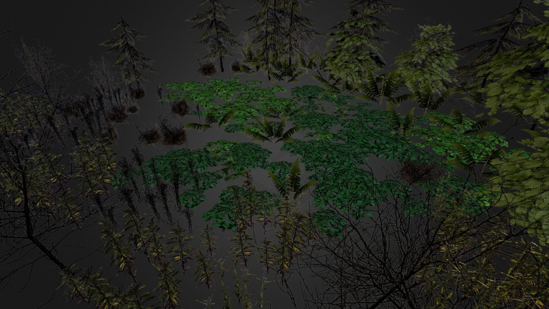 Forest Vegetation - 3D model by Roman Matuszczak (@romanmatuszczak ...