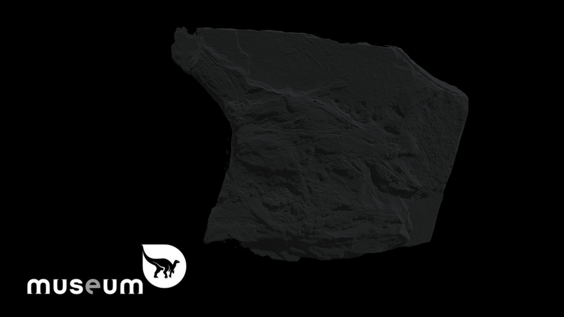 IRSNB P 03390 - Aethalionopsis robustus - 3D model by Royal Belgian ...