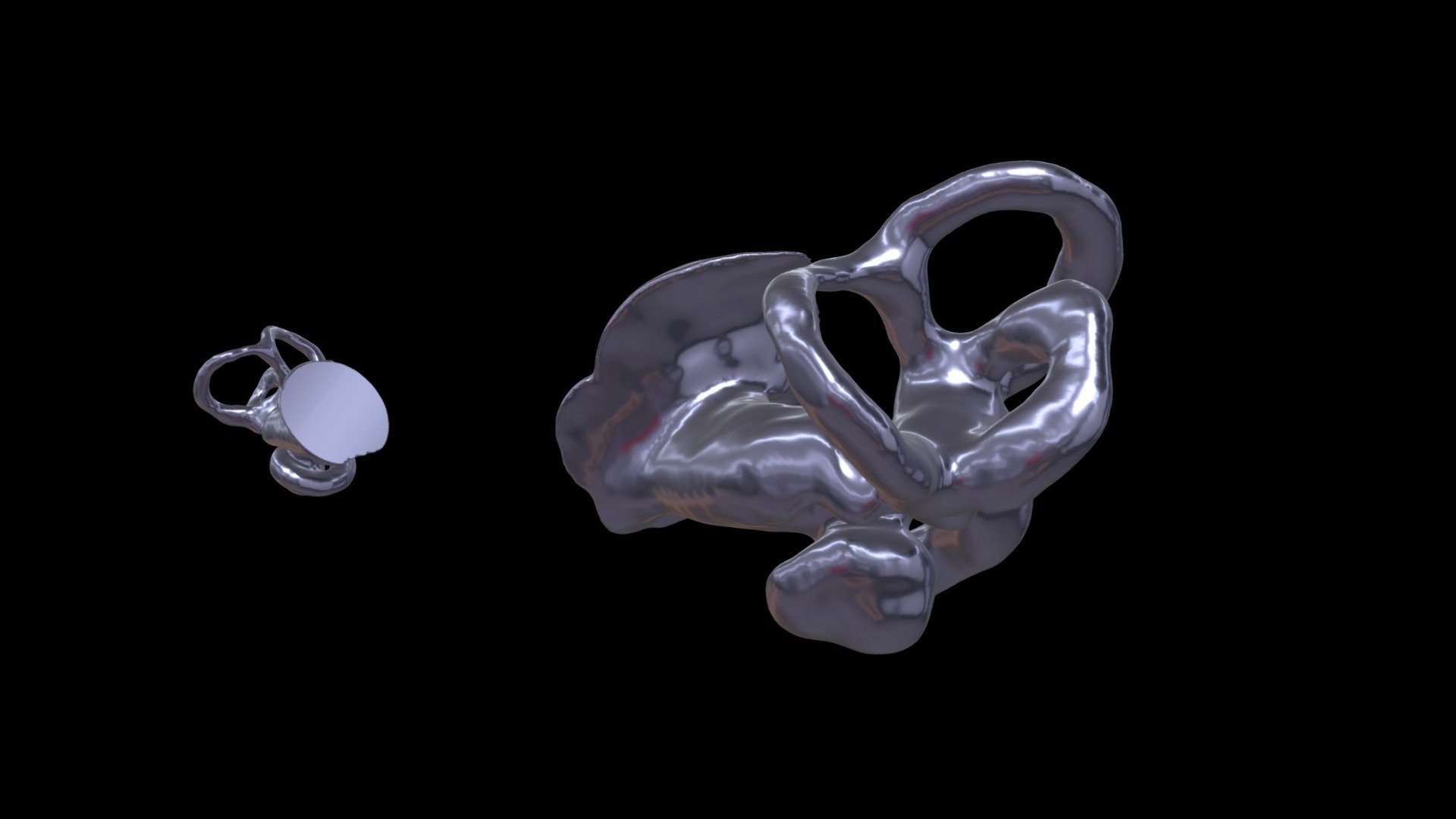Inner Ear - 3D model by Tecdes SA (@tecdessa) [e0ca4b3] - Sketchfab