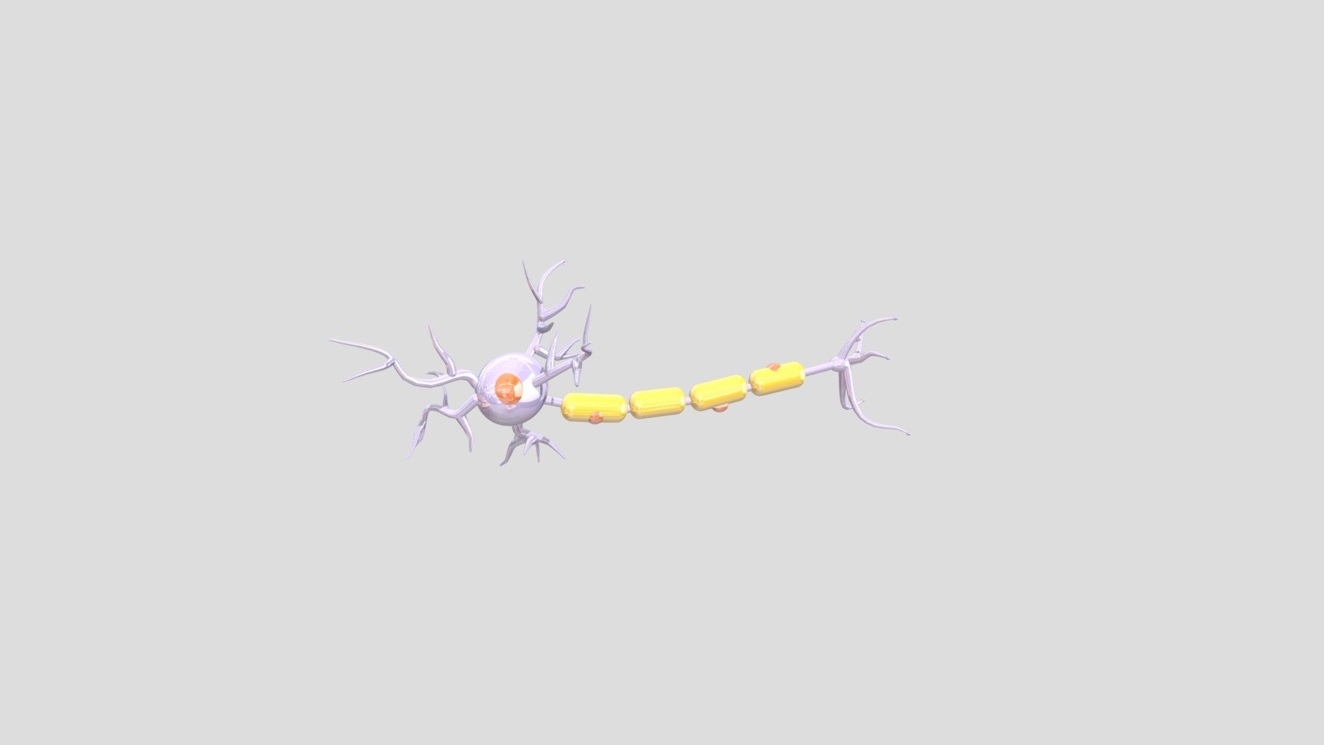 neurona - Download Free 3D model by itzelegant [e0d0929] - Sketchfab