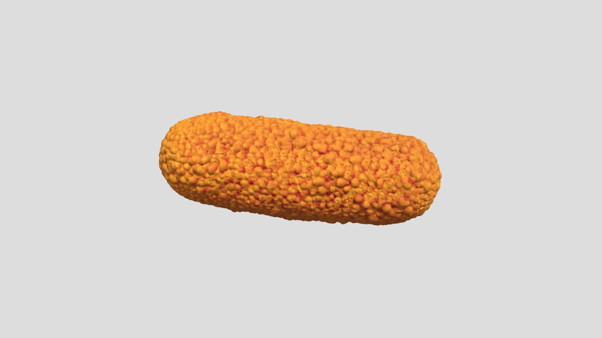 MÔ HÌNH TRỰC KHUẨN (BACILLUS) - 3D model by neobiolab (@butchi25196 ...