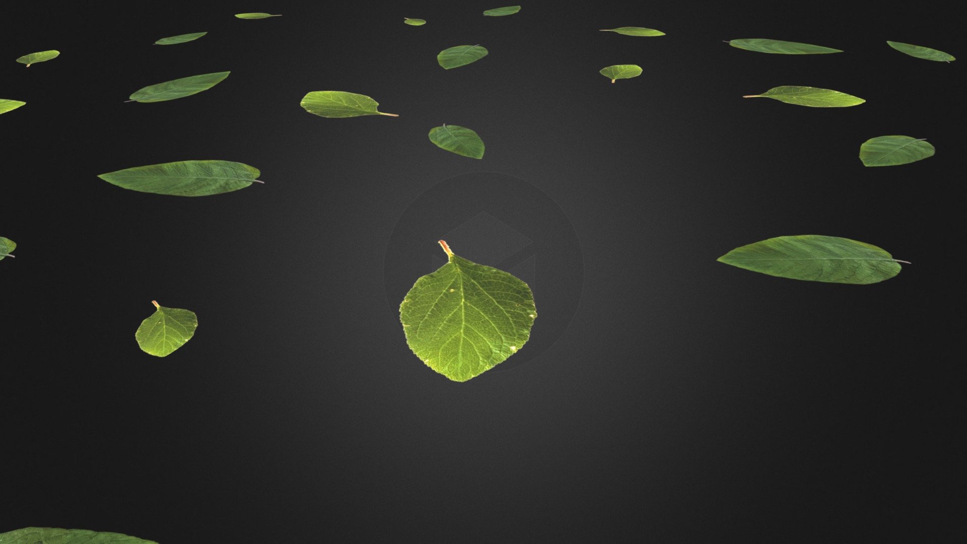 Leaf Ground 0001 - Download Free 3D model by Smith (@smithedits ...