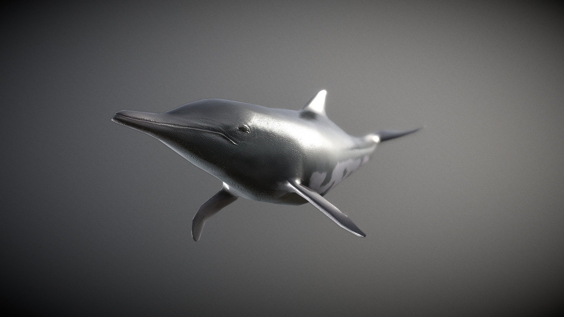 Dolphin_Motion01 - 3D model by jamieyeh2022 (@jamieyeh) [e0d3224 ...