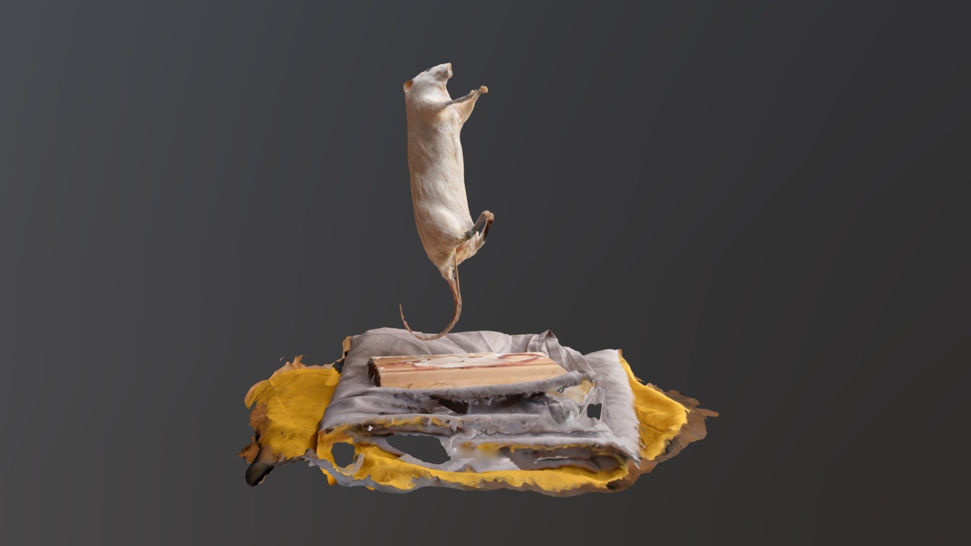 pole rat again - Download Free 3D model by ayanugui [e0d6e58] - Sketchfab