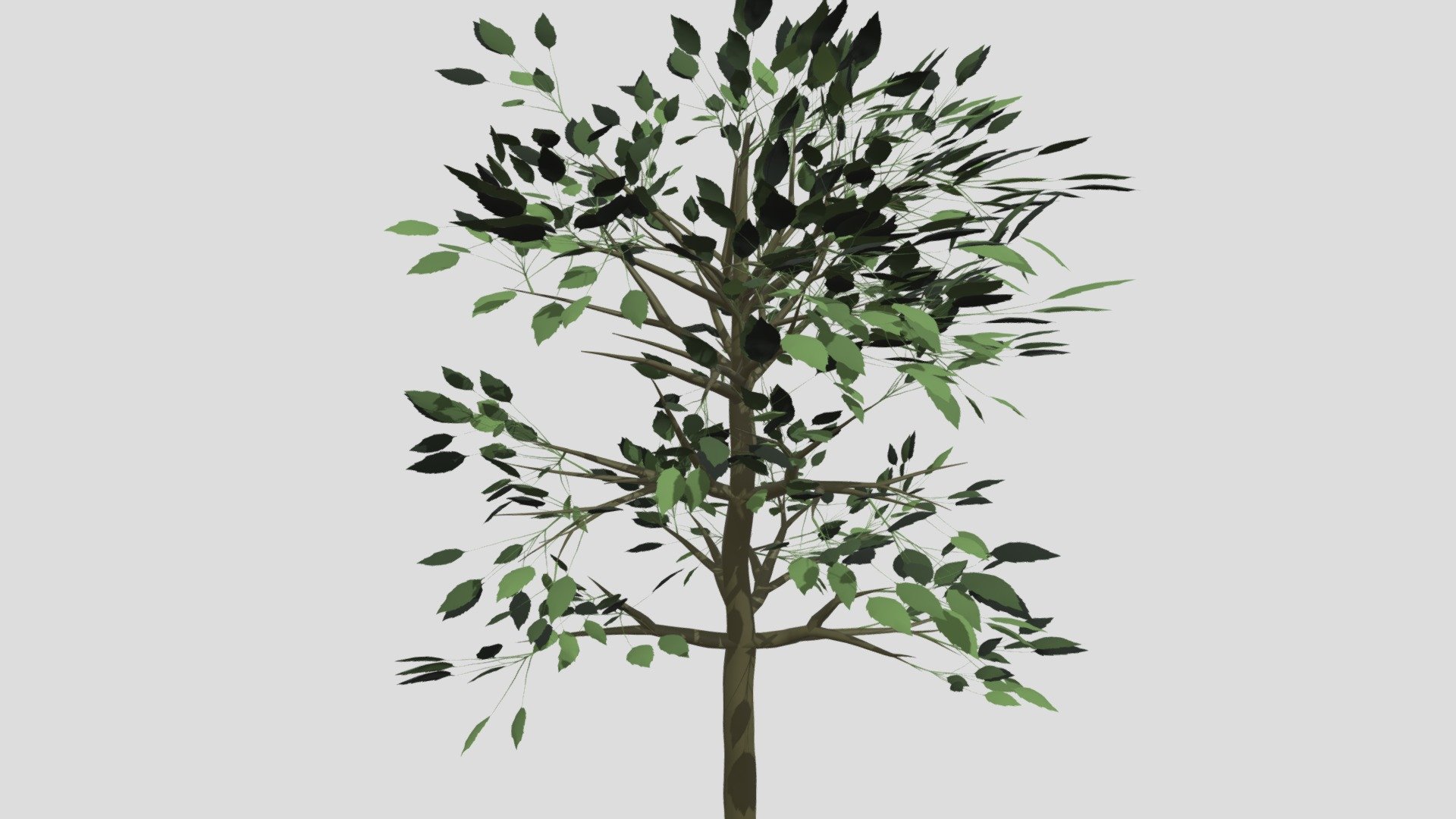 Tree A01 - Download Free 3D model by cgt116_Zih-Ting Yang ...