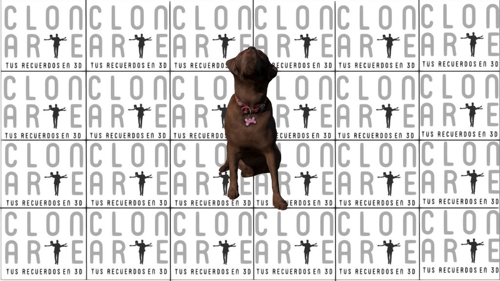 1094 Labrador chocolate - 3D model by Clonarte 3D (@clonarte3d ...