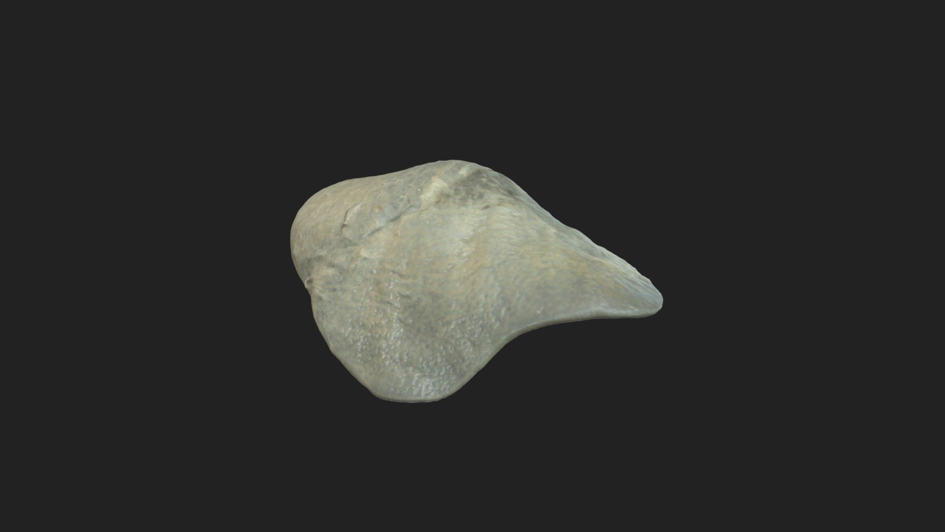 spleen small ruminant - 3D model by vetanatMunich [e0ed8a5] - Sketchfab