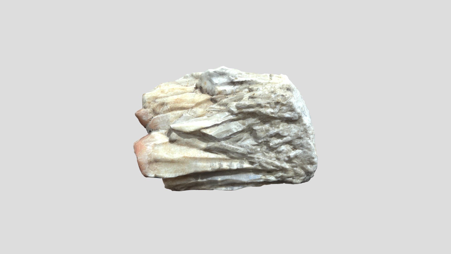 Metascan - 3D model by Raiane Duarte (@raianeduarte) [e0f6bf6] - Sketchfab