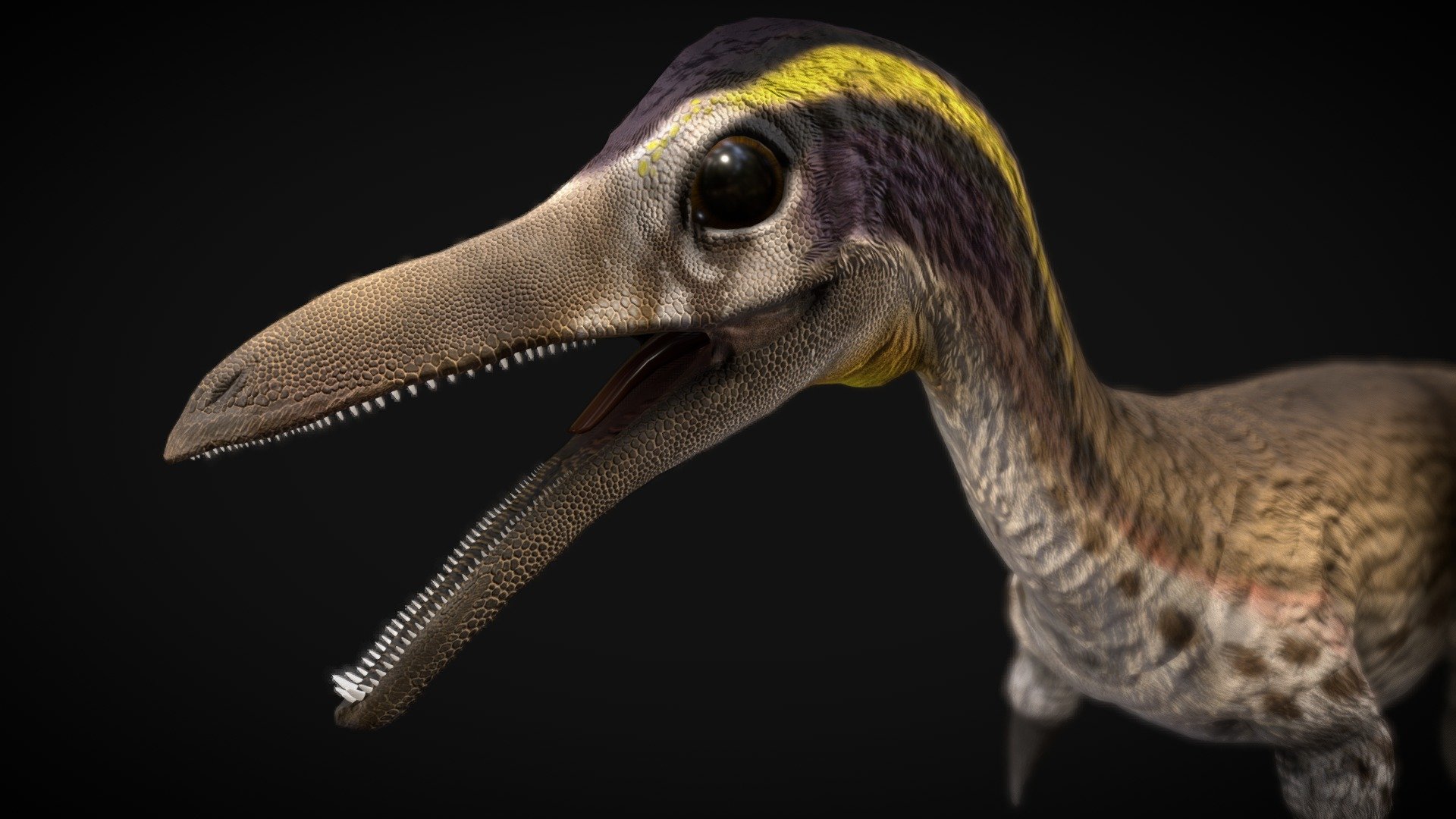 mononykus - 3D model by robertfabiani [e0fab64] - Sketchfab