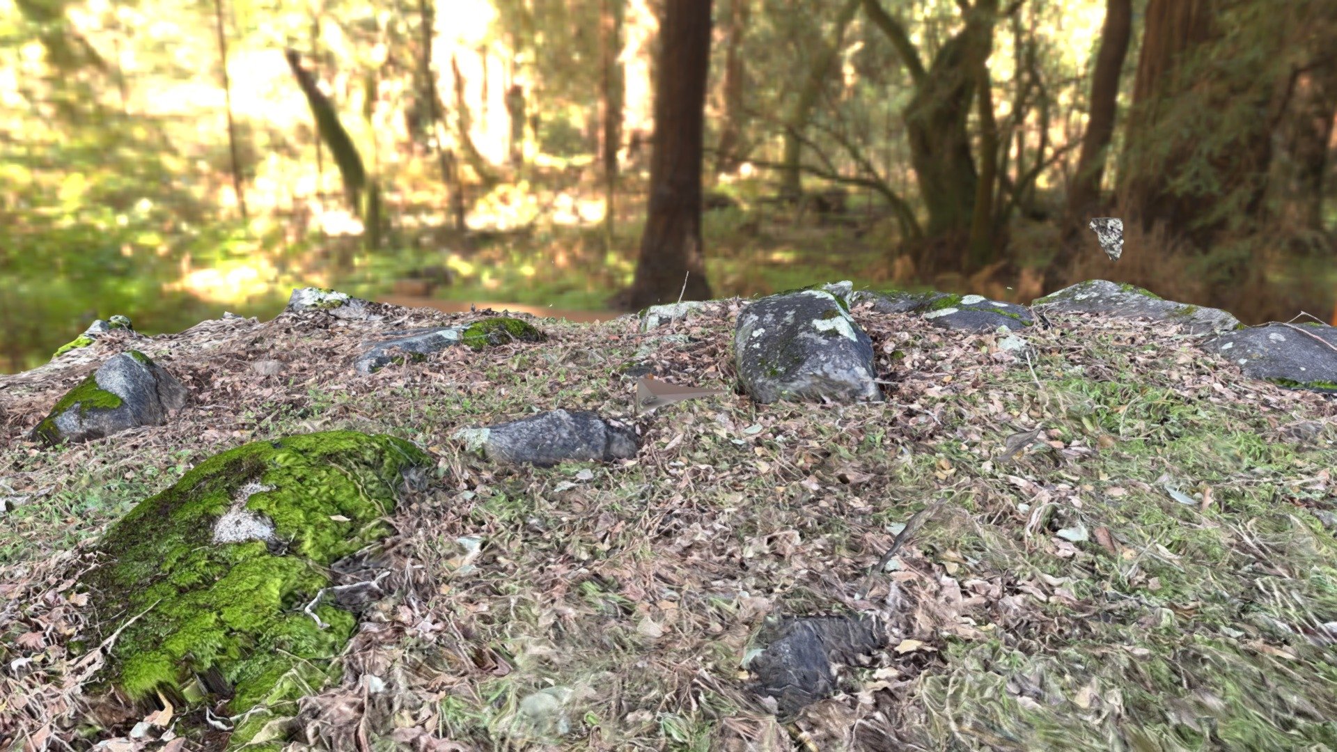 Terrain Forest Rocky A - Download Free 3D model by kristifir [e0fec01 ...