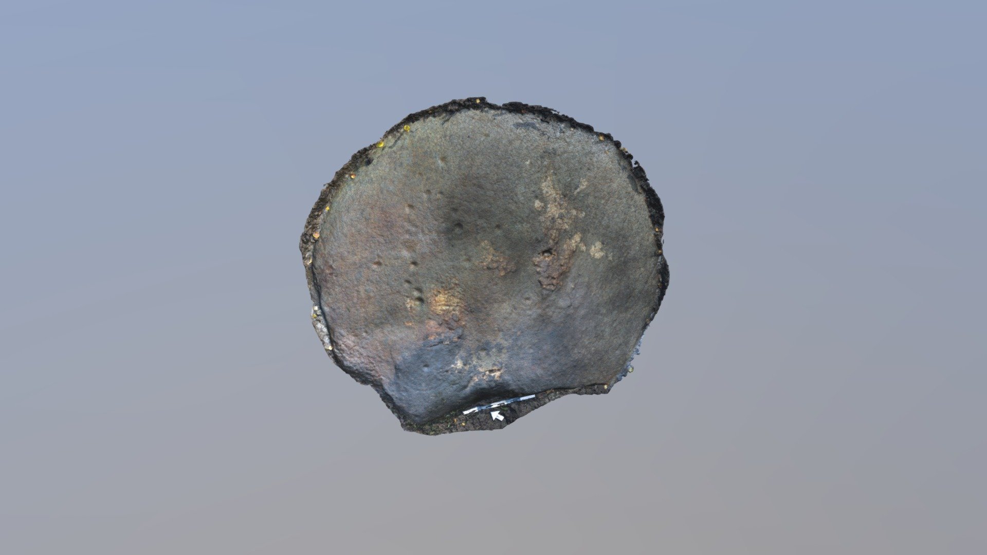 Strachur Estate Rock - 3D model by StrachurSF [e1056b6] - Sketchfab