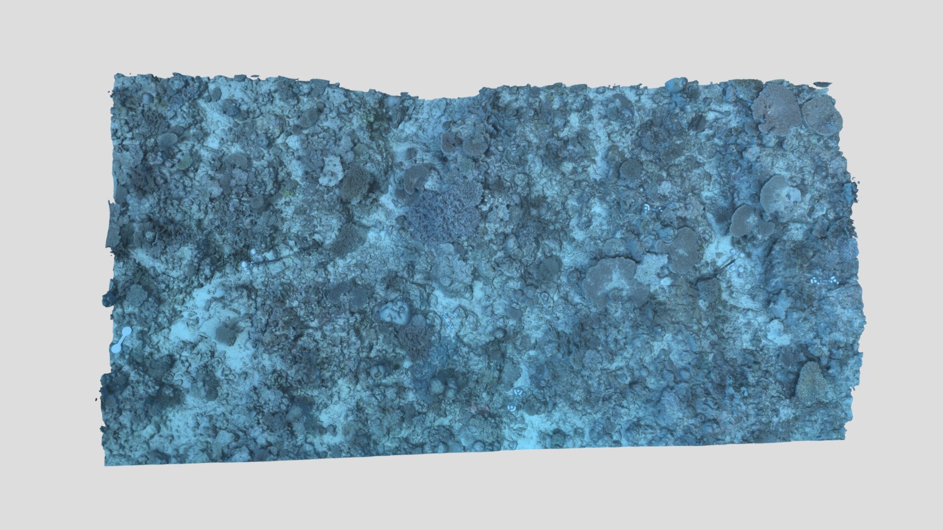Heron_BA1D_P1_202305 - 3D model by EcoRRAP (@AIMSEcoRRAP) [e105e28 ...
