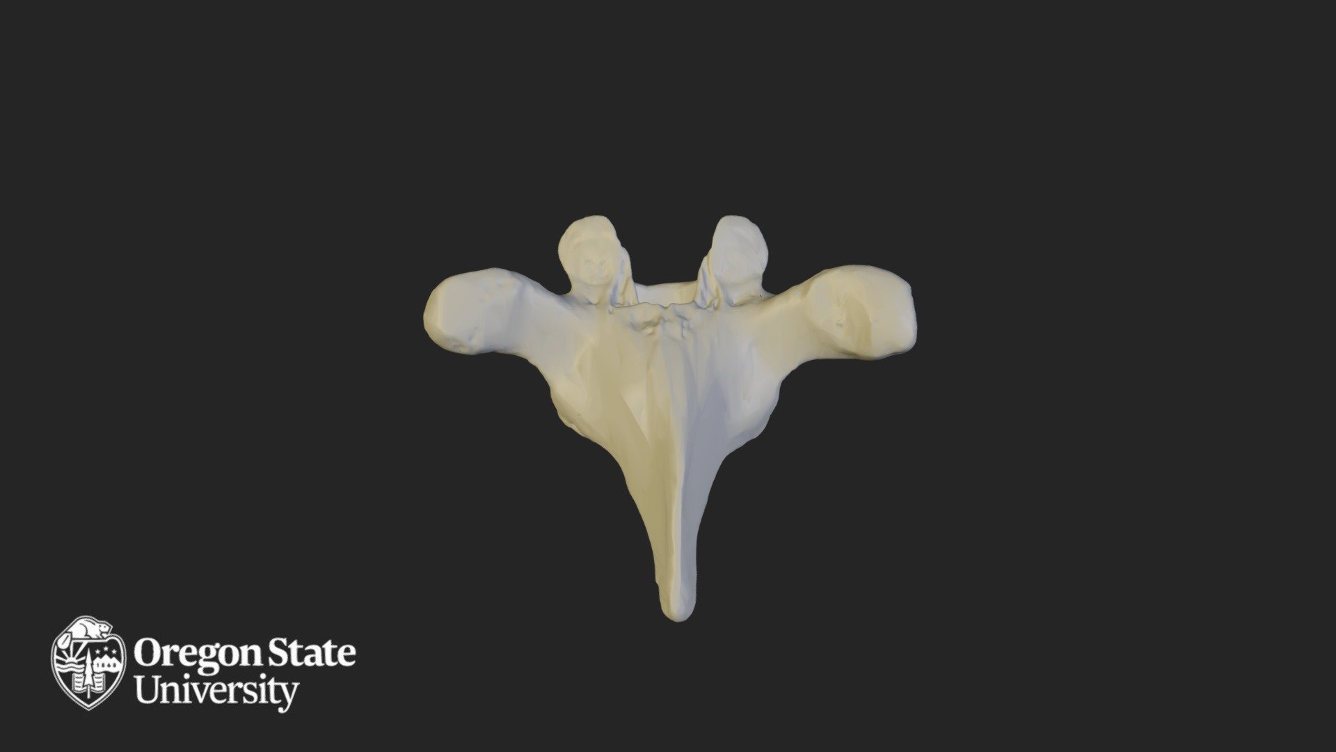 T6 - Download Free 3D model by Oregon State University | Ecampus ...