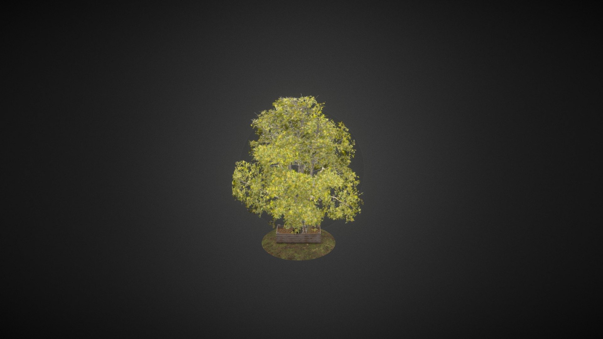 Elder ENT Queule1 Replica - 3D model by endangeredtokens [e12272e ...