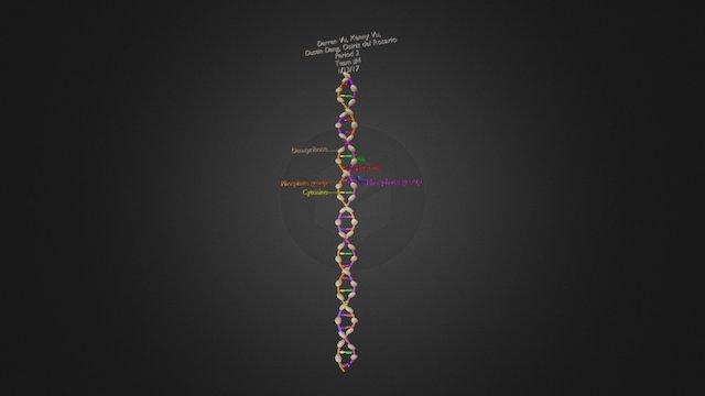 Nucleotides 3D models - Sketchfab