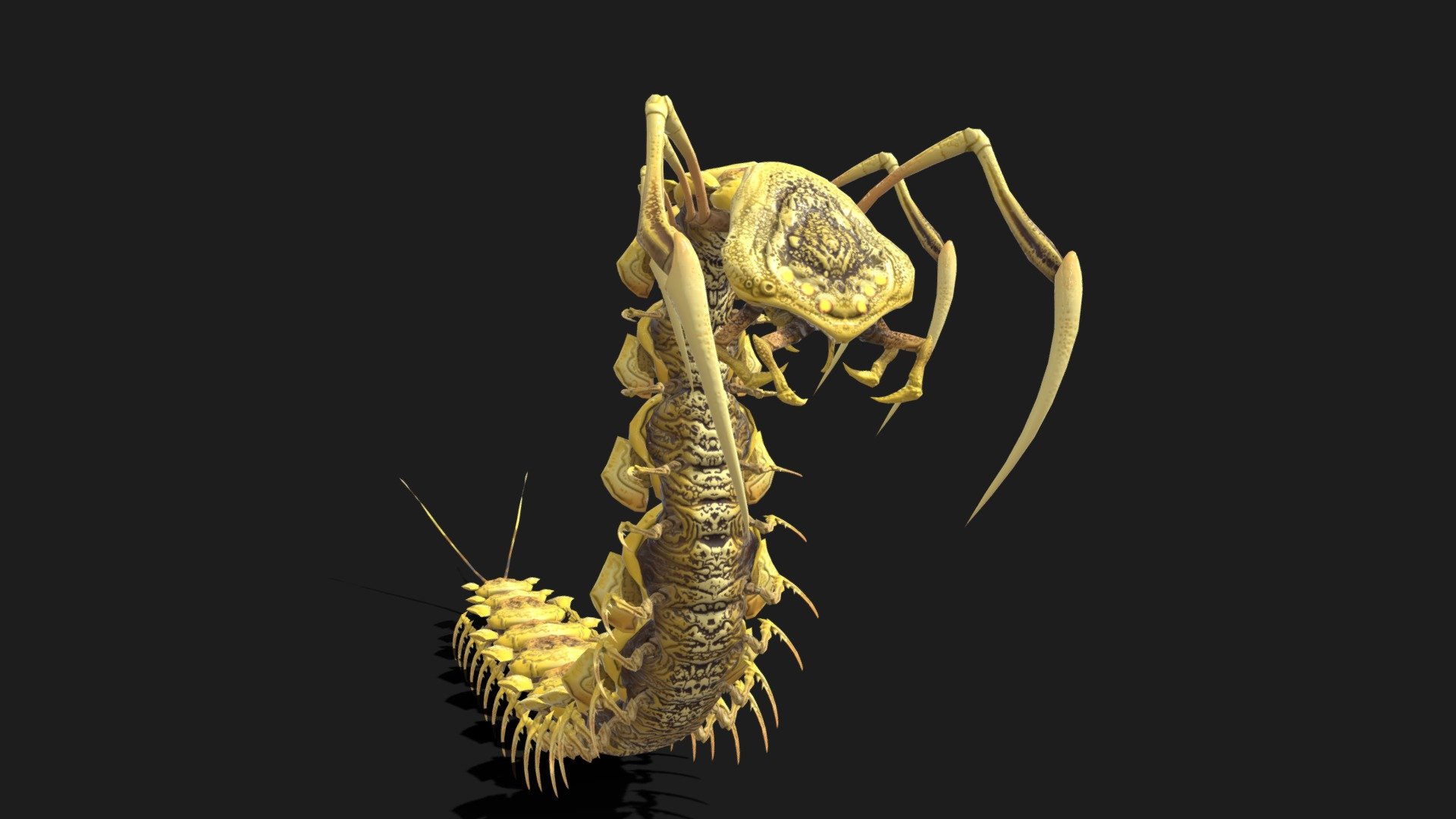 Low-poly model of the character Centipede - Buy Royalty Free 3D model ...