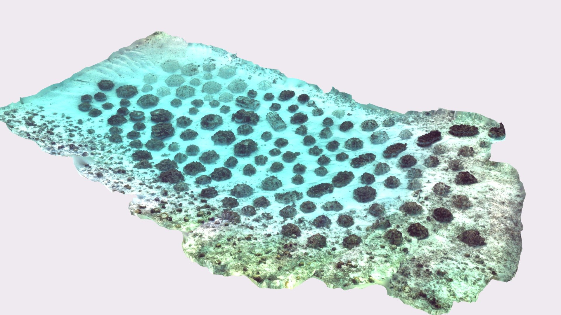 Coral Frame Restoration Site (Sheraton Maldives) - 3D model by ...