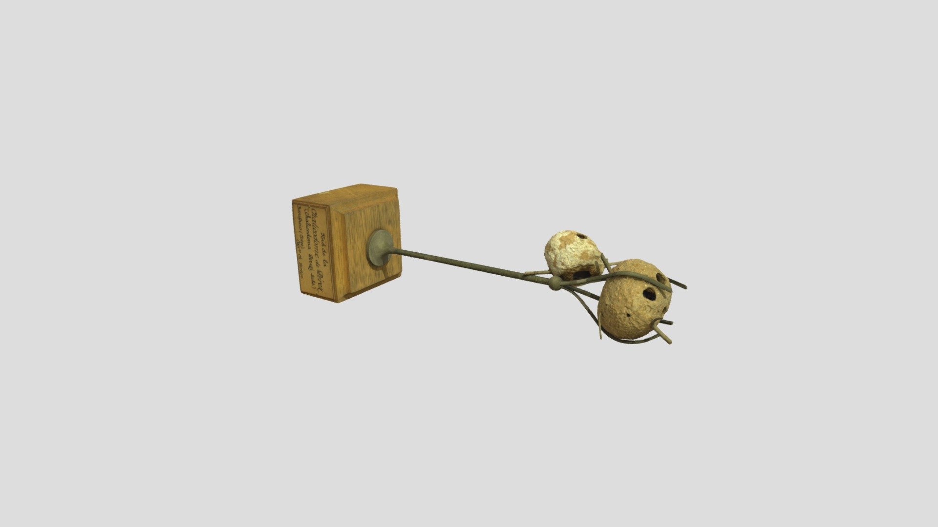 MNHN_EY_EY33456_Megachile sicula - 3D model by MNHN_nids [e130bac ...