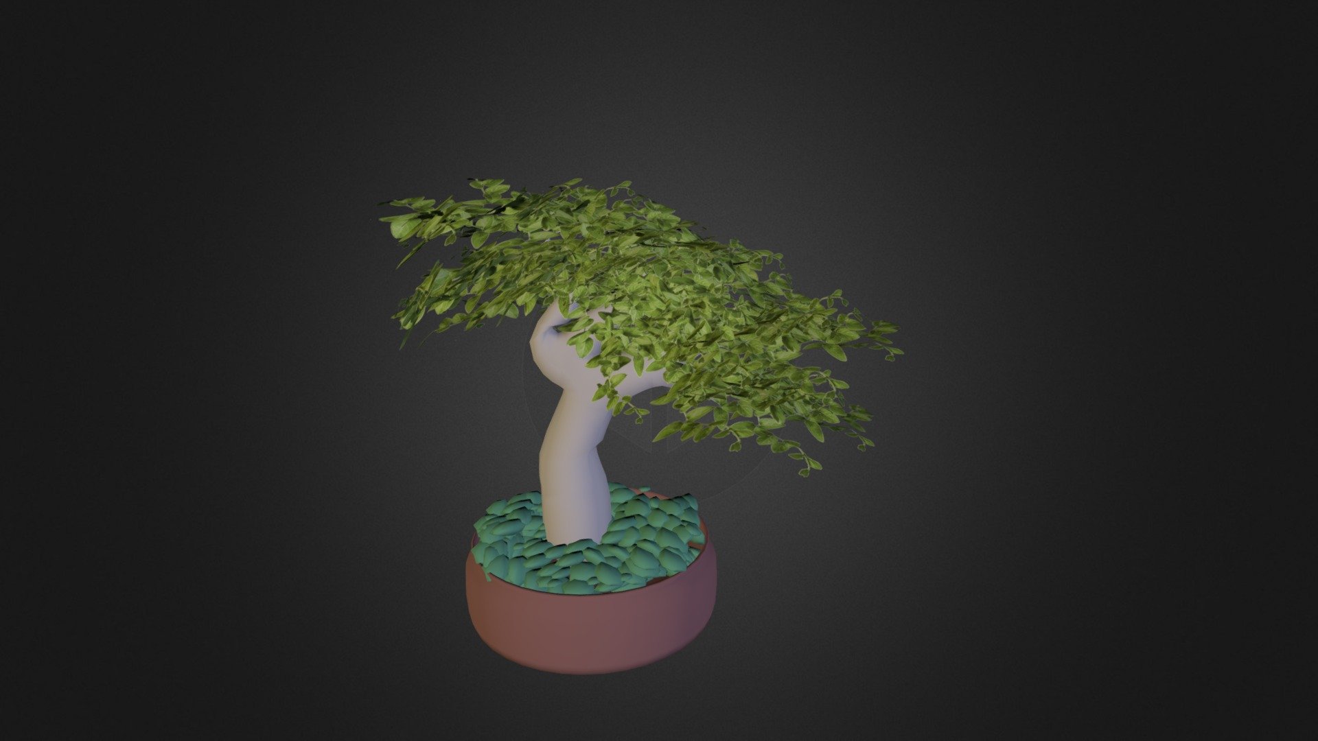 Bonzai - 3D model by luzadrianagualito [e130da5] - Sketchfab