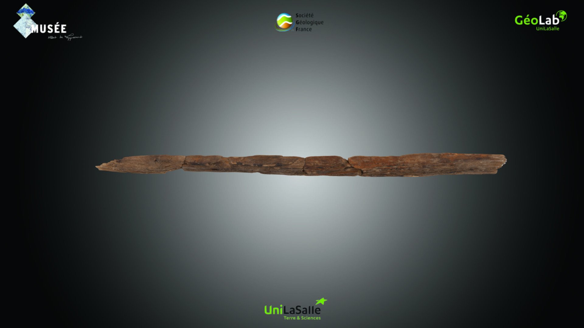 Artefact - Arc néolithique de Passel (B) - Download Free 3D model by ...