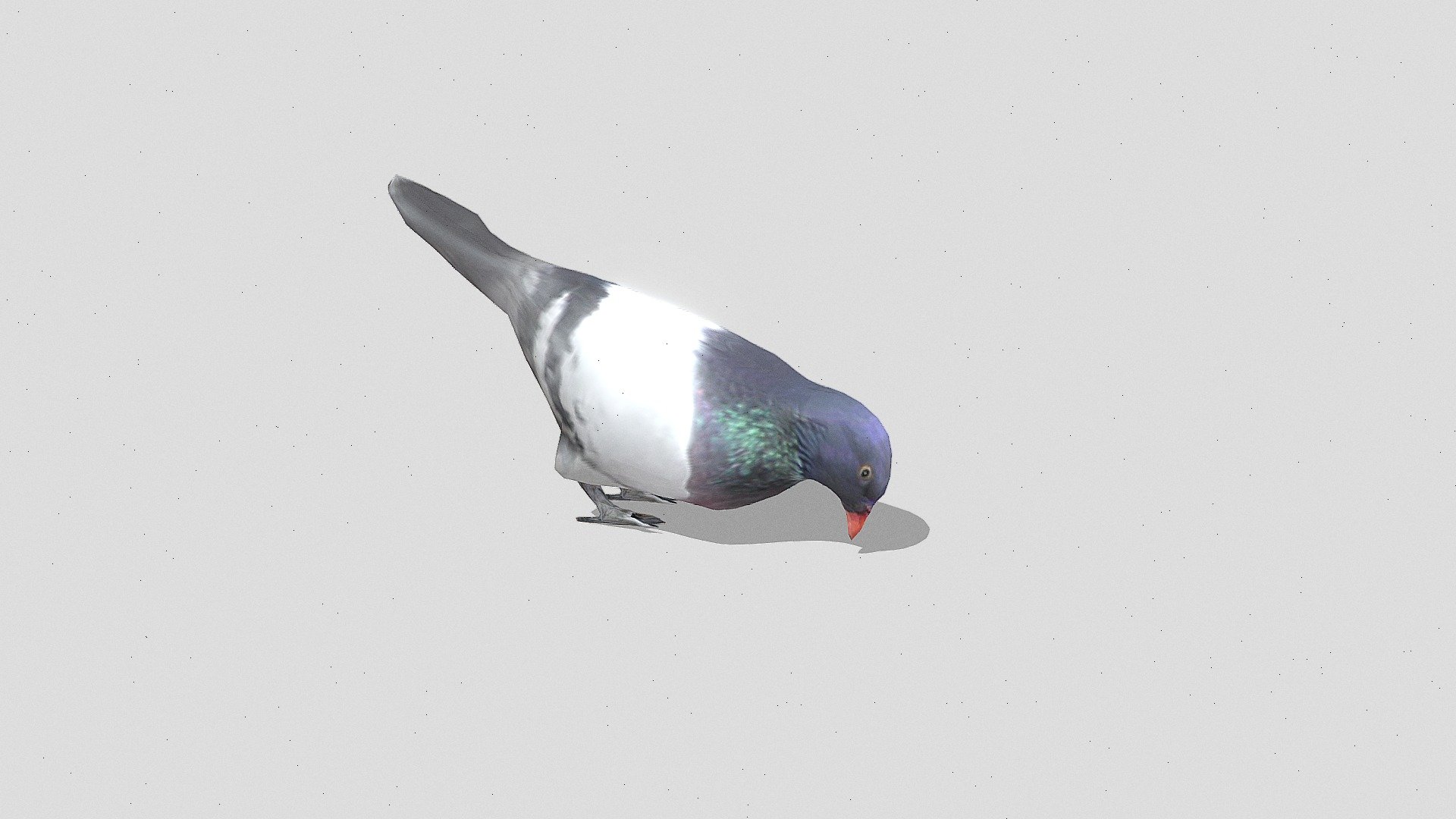 Pigeon #2 - 3D model by ₦₥₵ ฿₵ (@nmcbc) [e1375d5] - Sketchfab