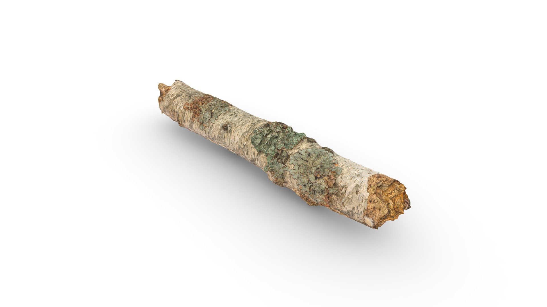 Stick with Green Moss - 3D model by RawCatalog.com (@rawcatalog ...