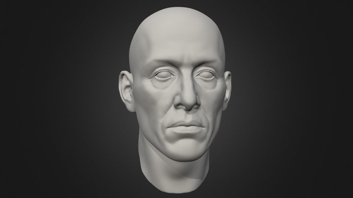 Ecorche 3D models - Sketchfab