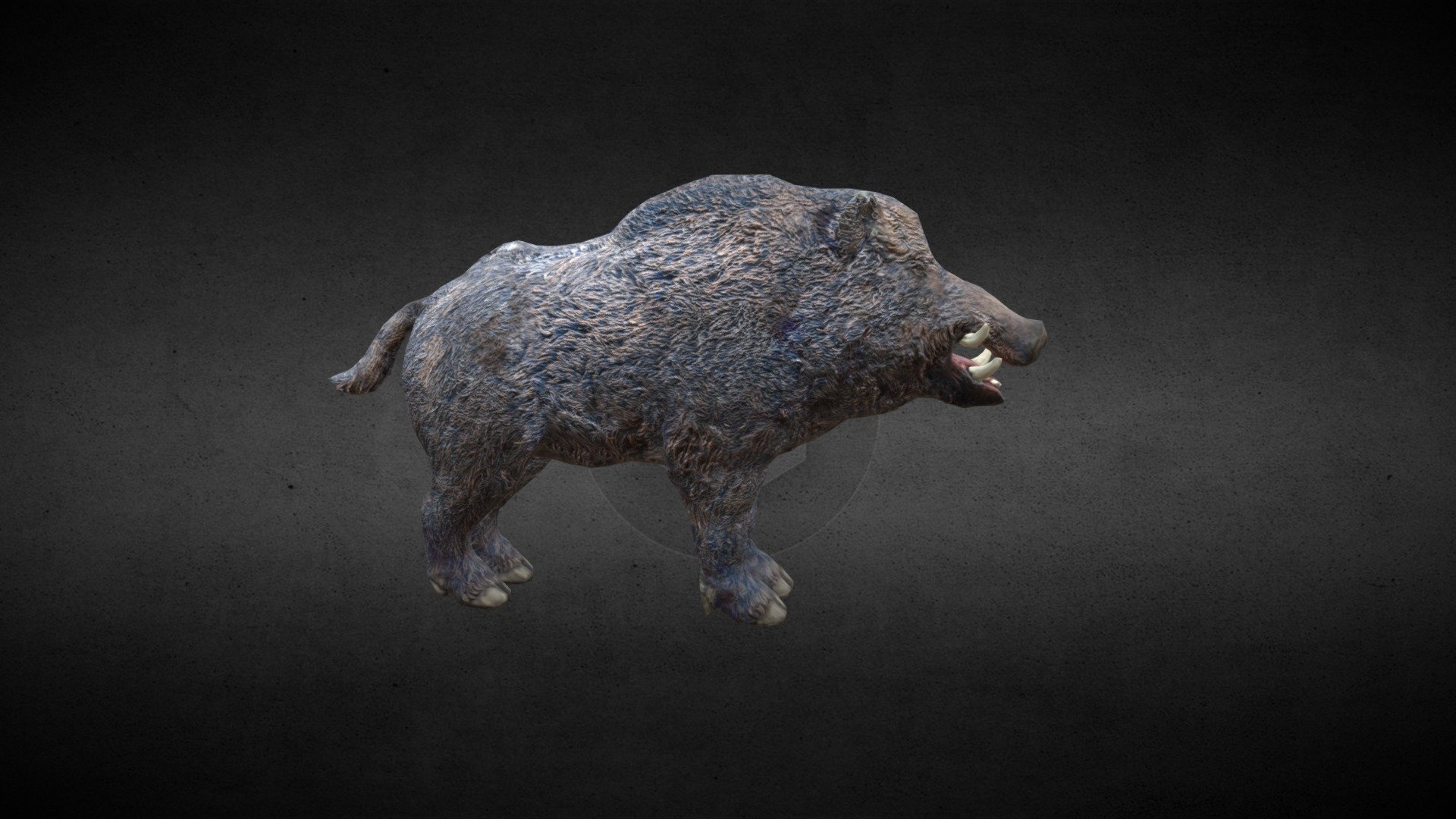 Boar - 3D model by Skazok [e13b043] - Sketchfab