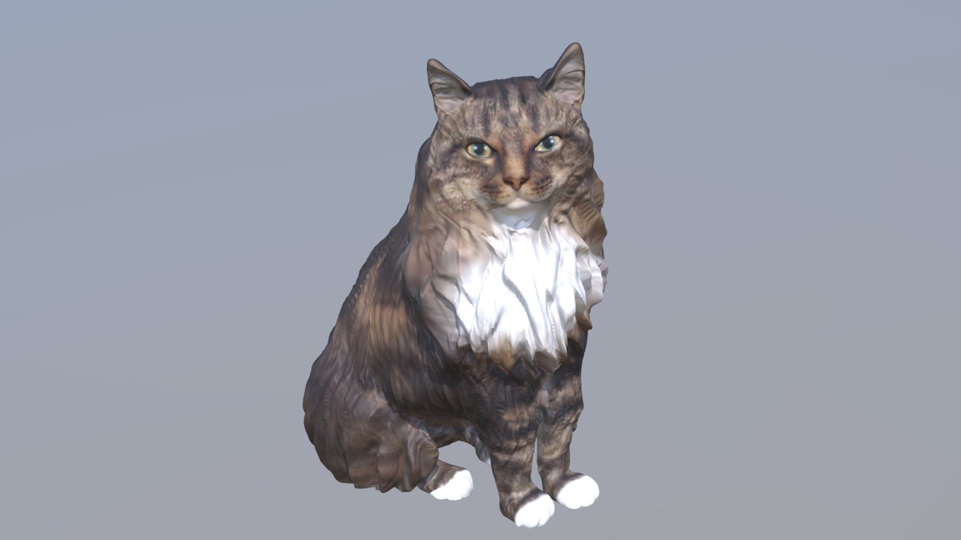 1811010- Custard- Cat - 3D model by Arty Lobster - Pet Sculptures Made ...