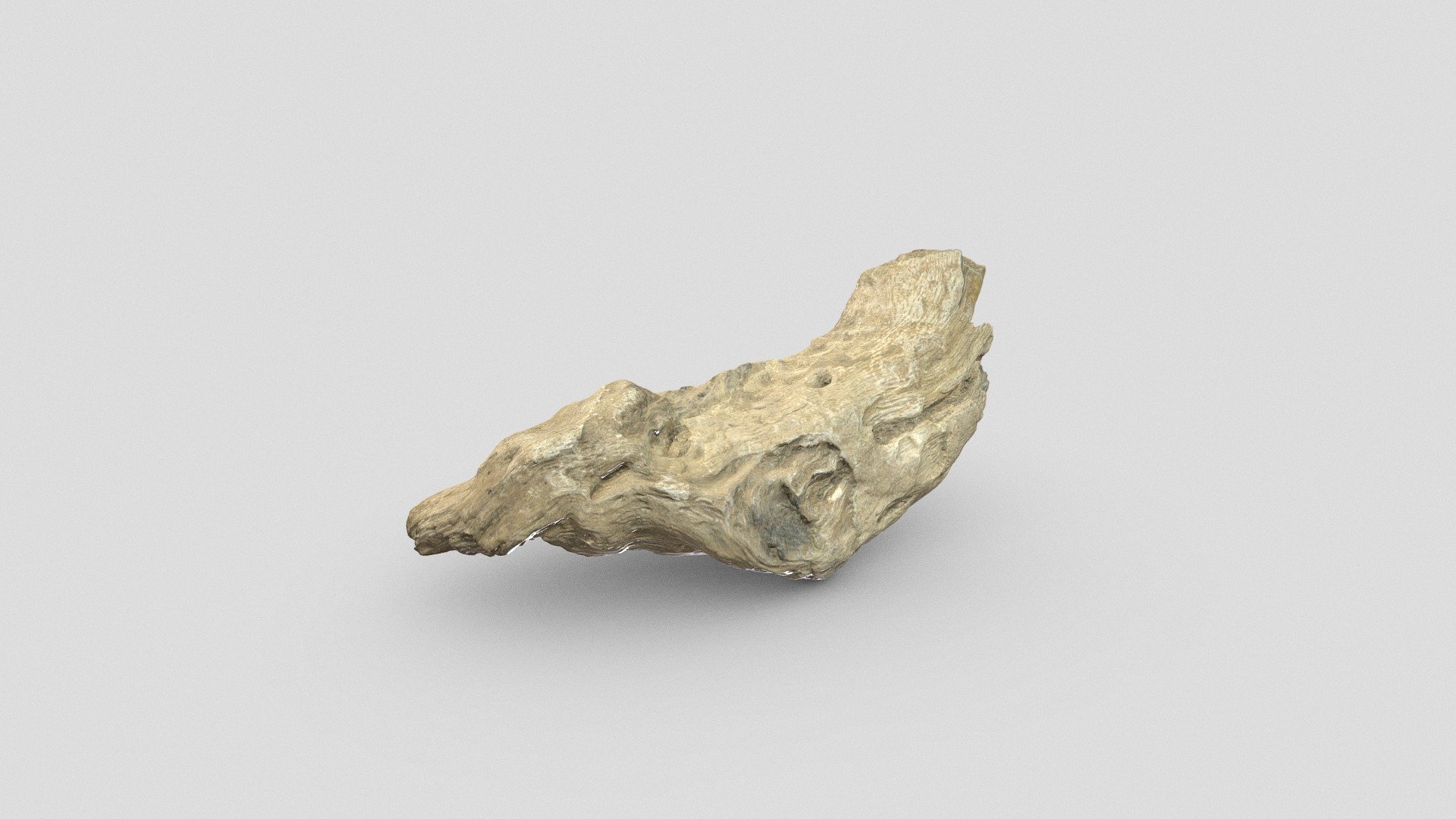 Kovásodott fa/Petrified tree - 3D model by Herman Ottó Múzeum ...
