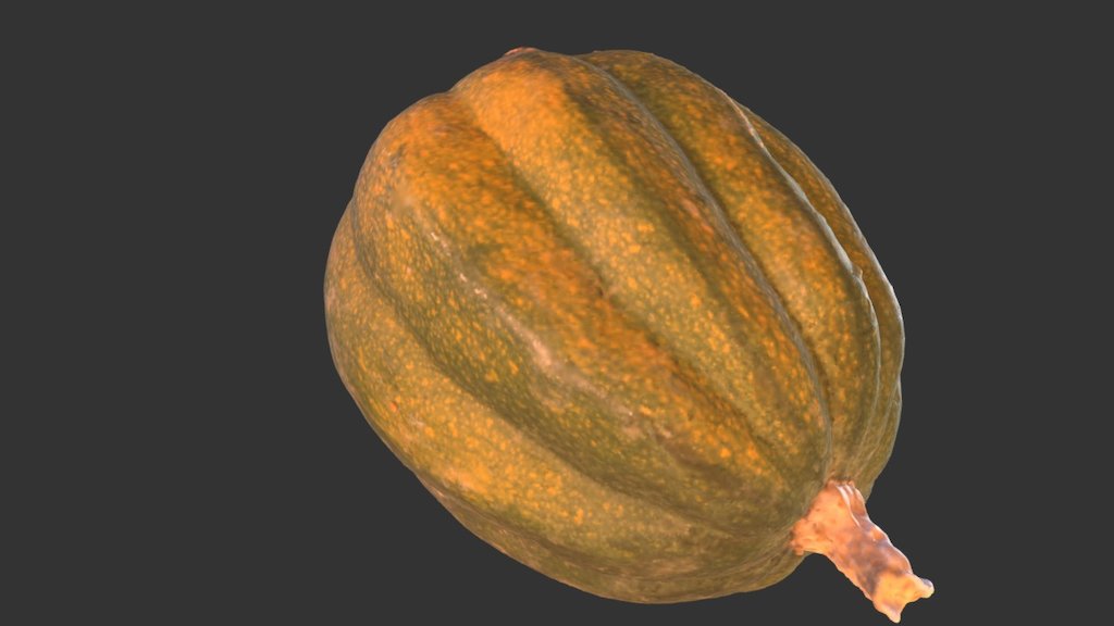 Cucurbita pepo Table king - 3D model by BernardG49 [e14ded8] - Sketchfab