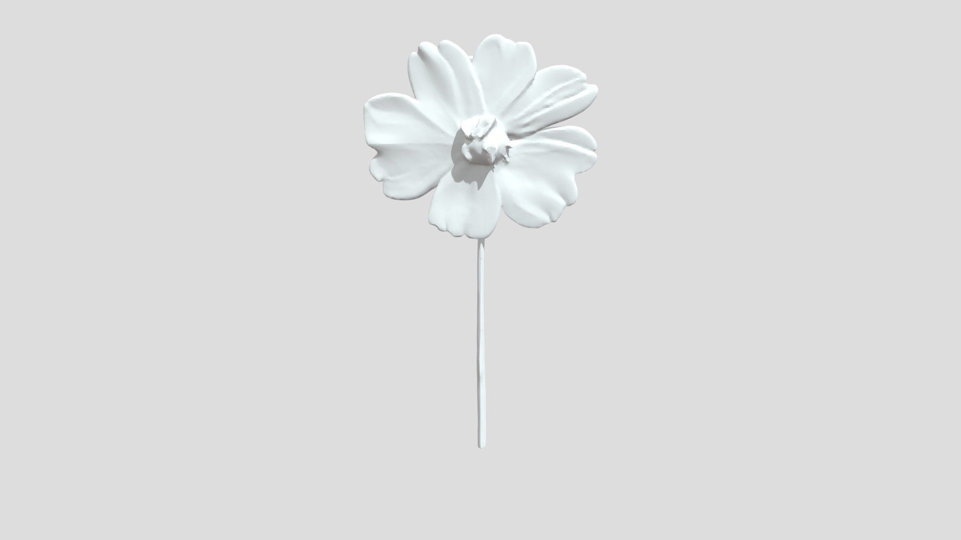 chamomile - 3D model by YazvaPuber [e15b627] - Sketchfab